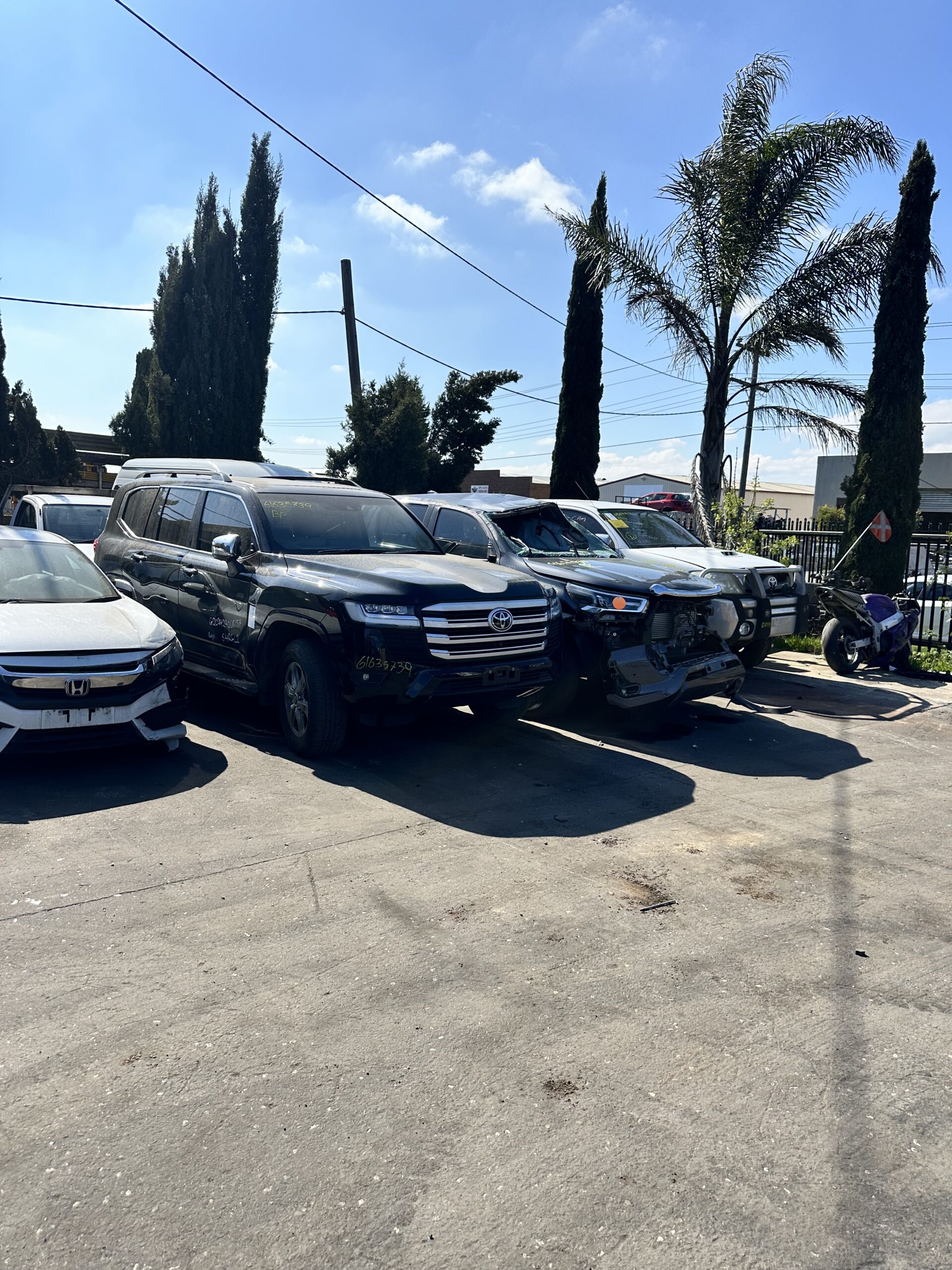 Australia Auto Export Services | Global Shipping Experts